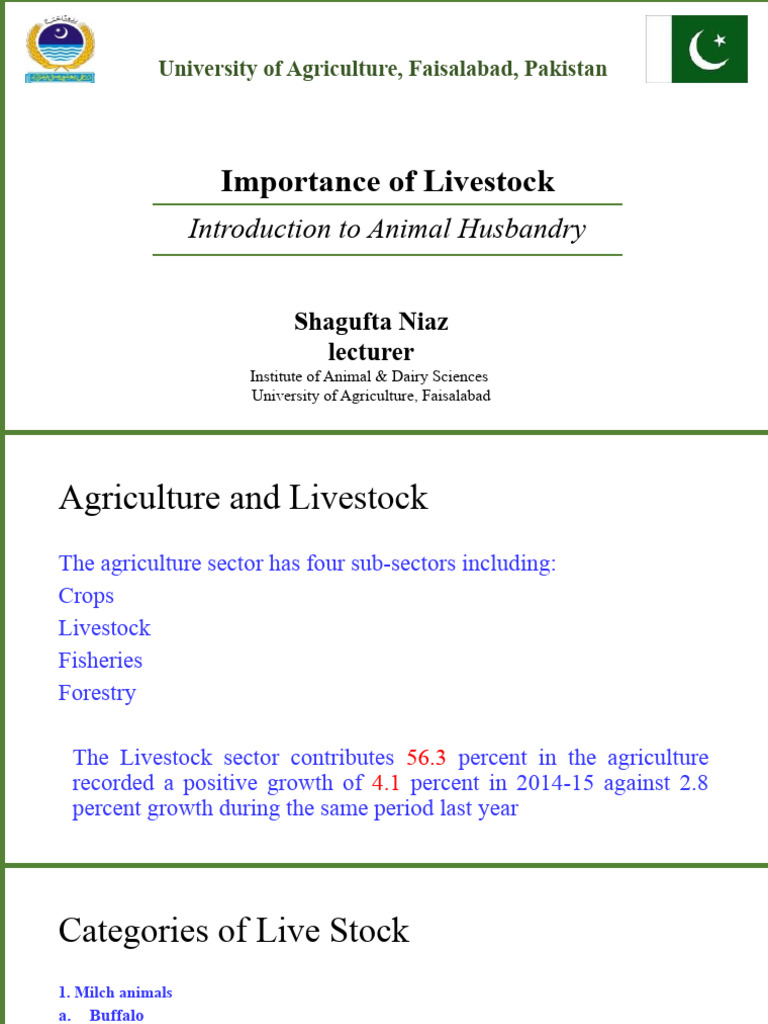 Overview of Animal Husbandry Practices | PDF | Livestock | Goat