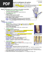 Classification de Tanner | PDF
