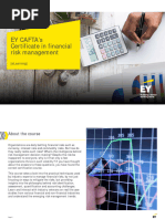 EY Network Entities | PDF | Accounting | Companies