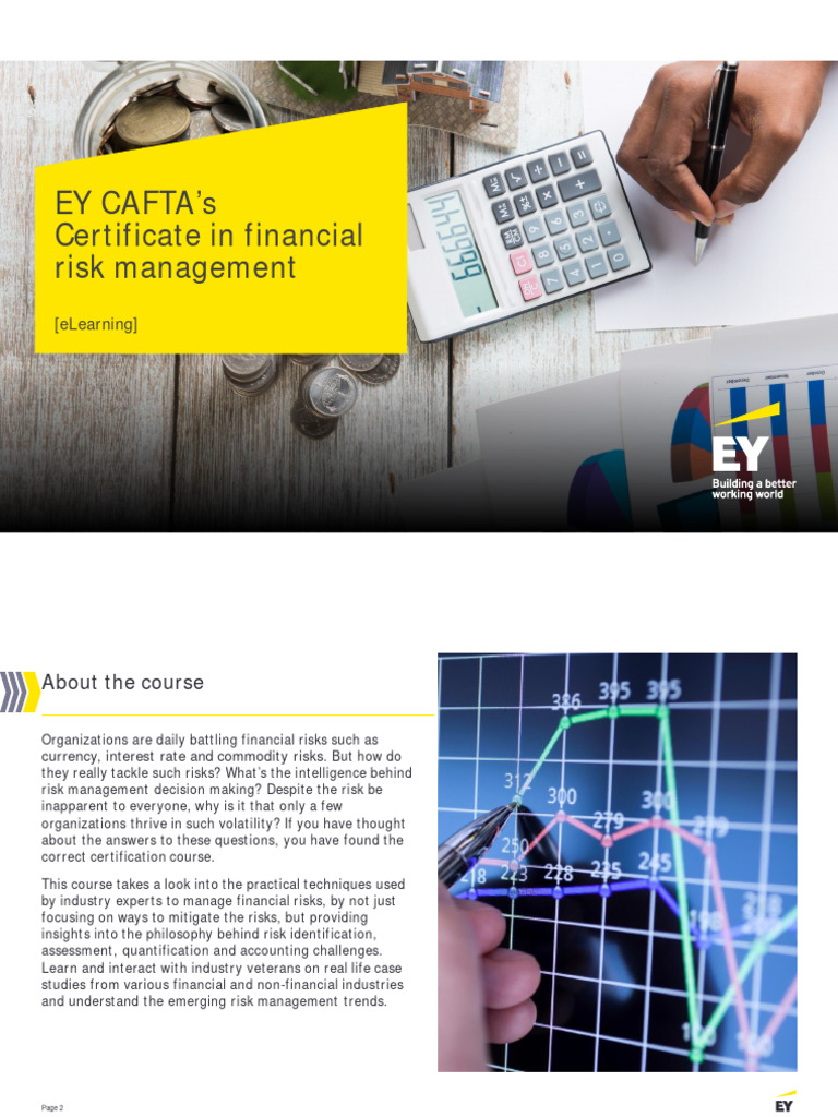 Ey Certificate in Financial Risk Management | PDF