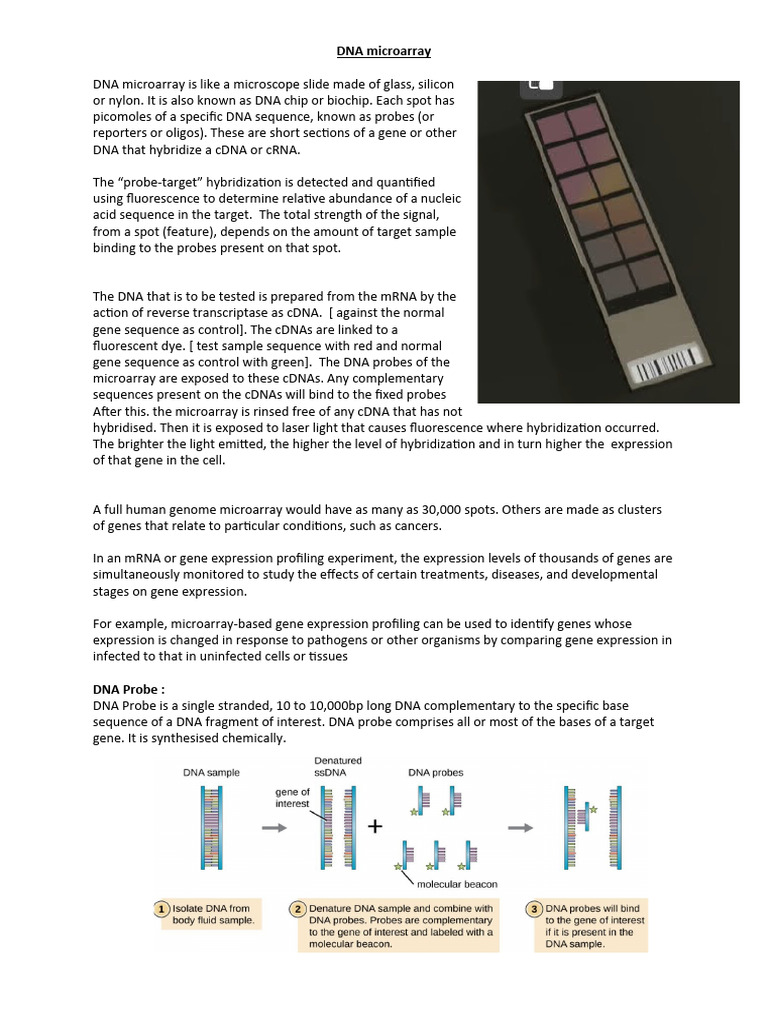 DNA Microarray | PDF | Dna Microarray | Complementary Dna
