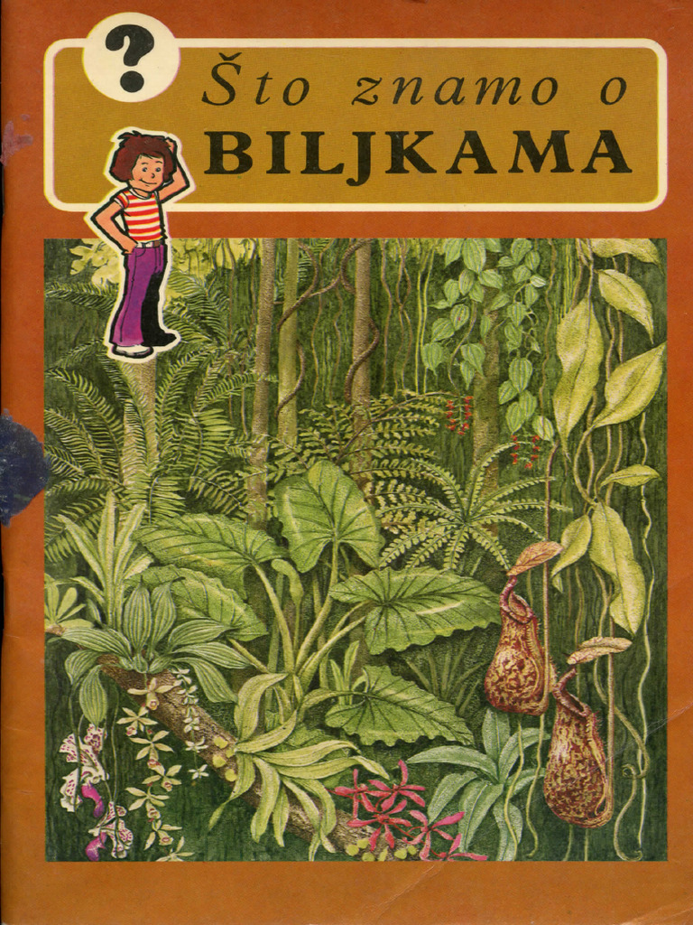 Biljkama: Sto Znamo o | PDF