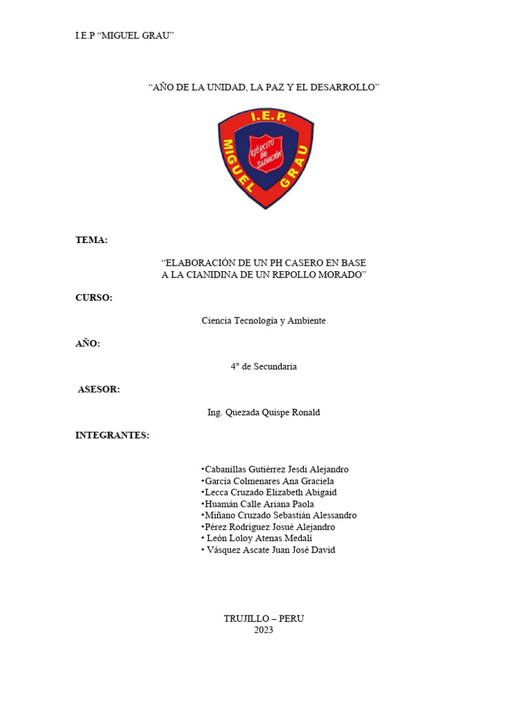 Proyecto Cta Grupo 2 4to de Sec | PDF