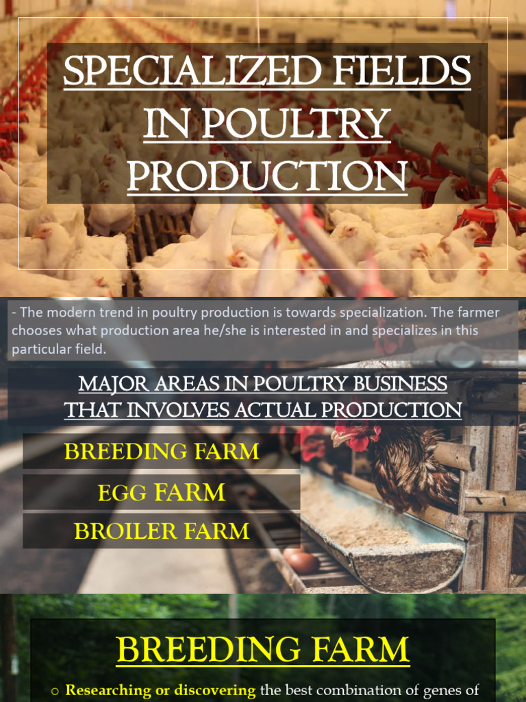 2.1 Specialized Field in Poultry Production | PDF | Chicken | Broiler