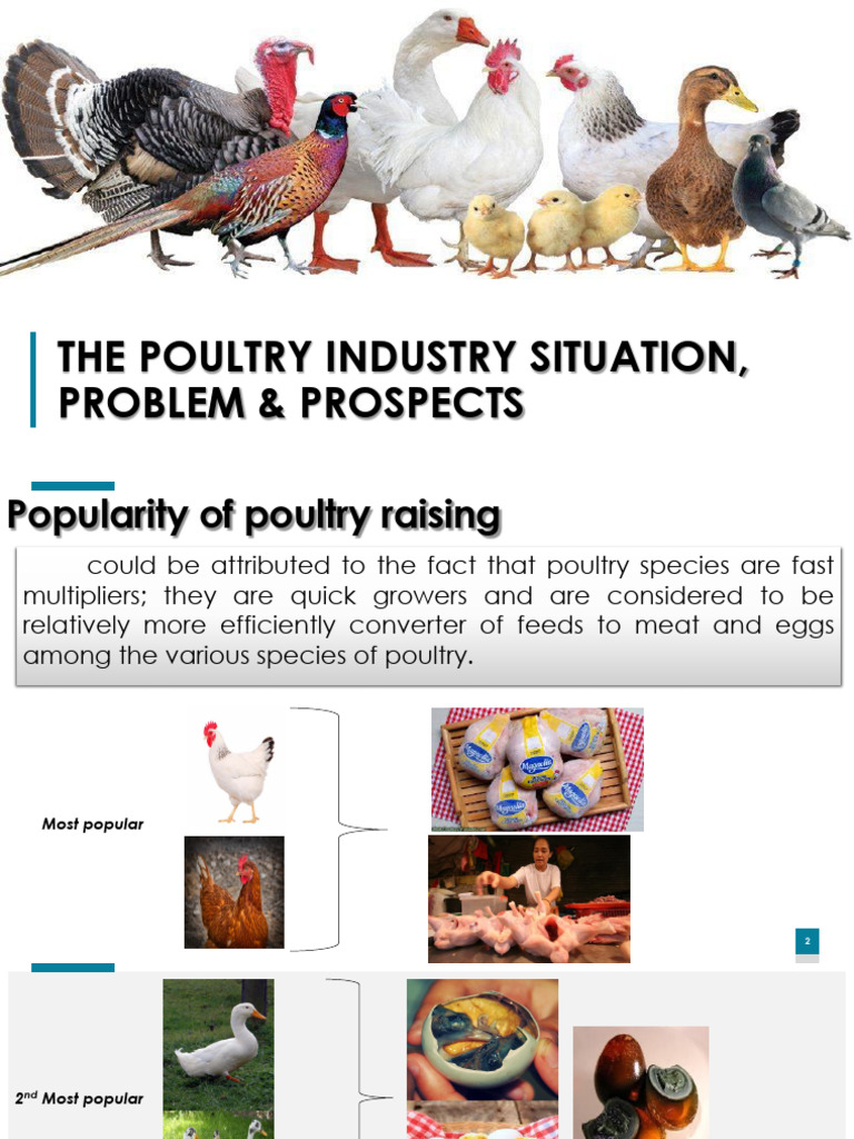 2.0 The Poultry Industry Situation Problems and Prospects | PDF ...