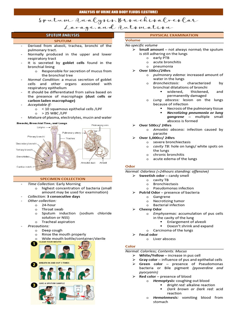 Lecture Lesson 13. Sputum Analysis, Bronchioalveolar Lavage, and ...