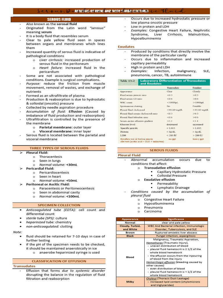 Lecture Lesson 12. Serous, Duodenal, and Gastric Fluid | PDF | Pancreas ...