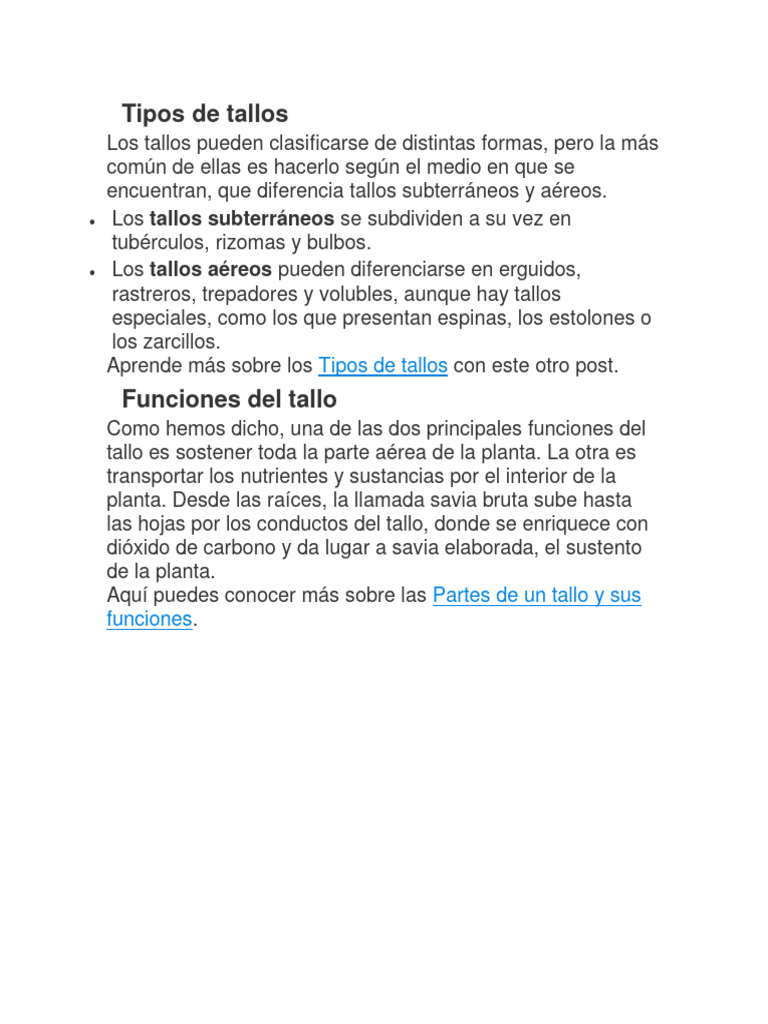 Clasificación y Funciones de Tallos | PDF | Ciencia y matemáticas