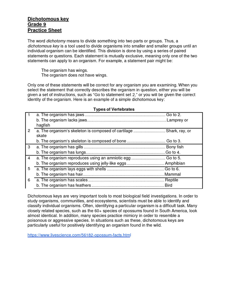 Dichotomous Key - Worksheet | Download Free PDF | Egg | Birds