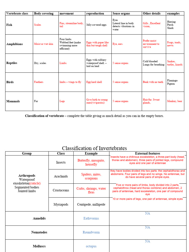 Key - Classification of Vertebrates Table Worksheet | Download Free PDF ...