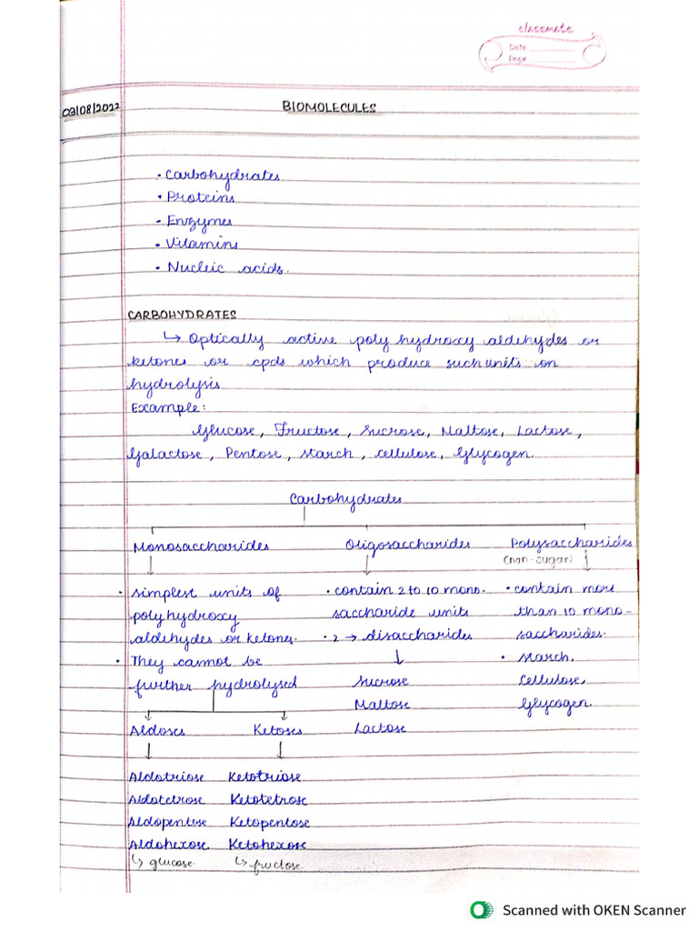Chem Notes 3 - Biomolecules, Amines | PDF