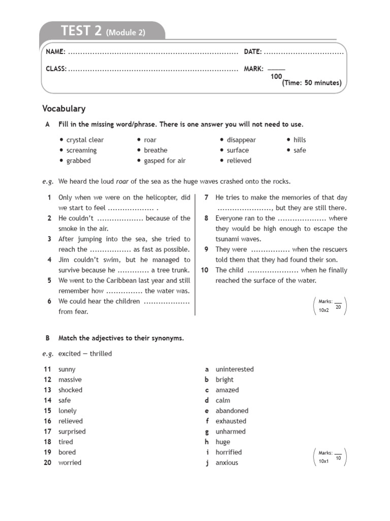 03 Module Test 2 ACTION 3 | PDF