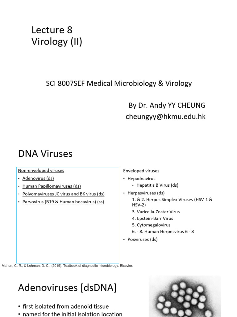 Lecture 8 - SCI 8007SEF Medical Microbiology & Virology-Virology II ... Lecture 8 - SCI 8007SEF Medical Microbiology & Virology-Virology II ...