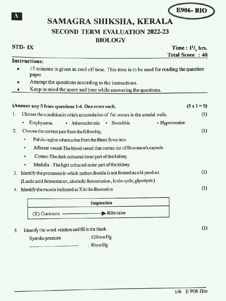 Kerala 9th STD Second Term Exam 2022 BIOLOGY Question Paper EM | PDF