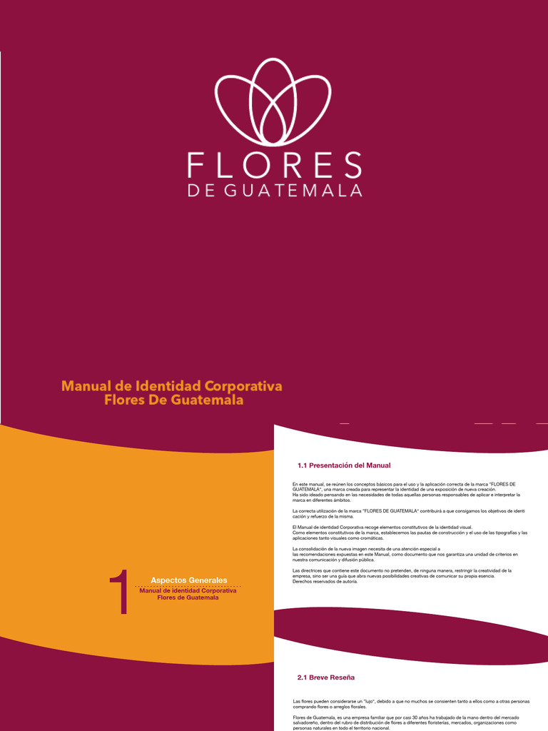 Manual de Marca FIN - FDG | PDF | Marca | Business