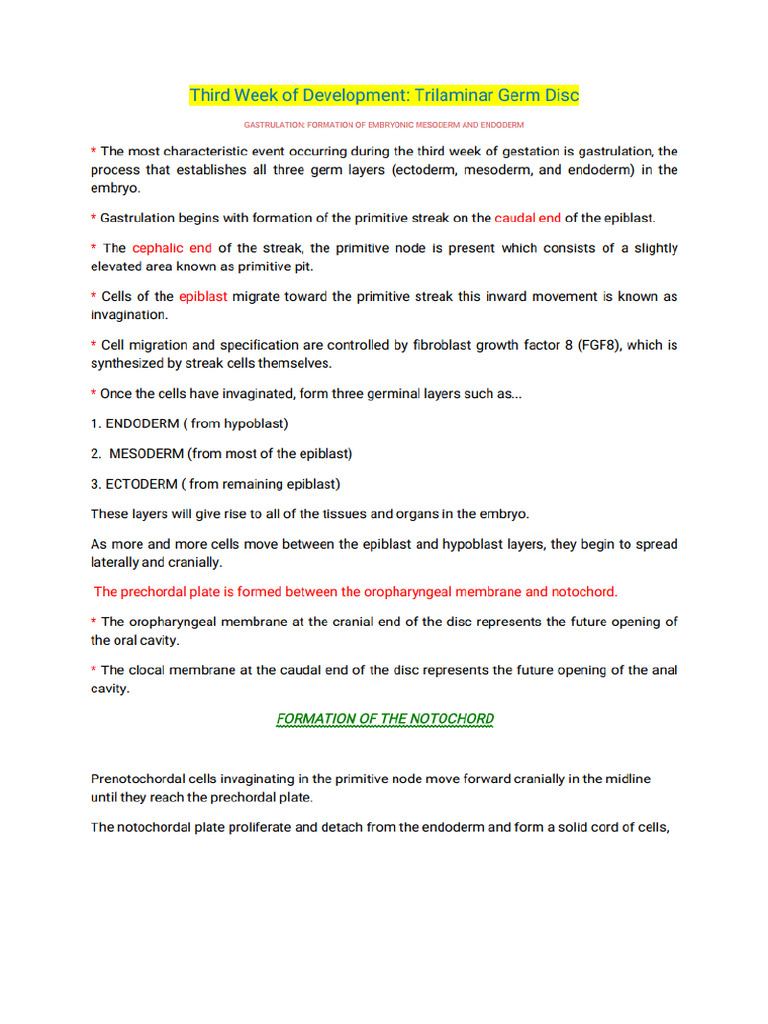 Third Week of Embryonic Development... | PDF