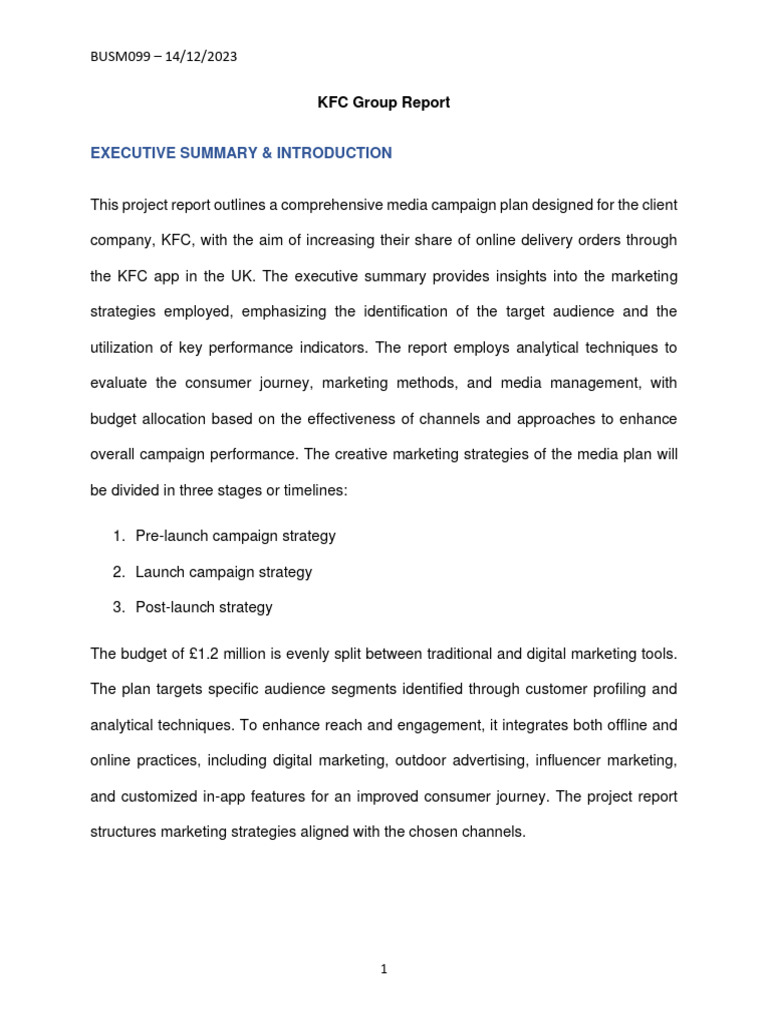 BUSM099 - Project Final Draft | PDF | Target Audience | Cost Of Living