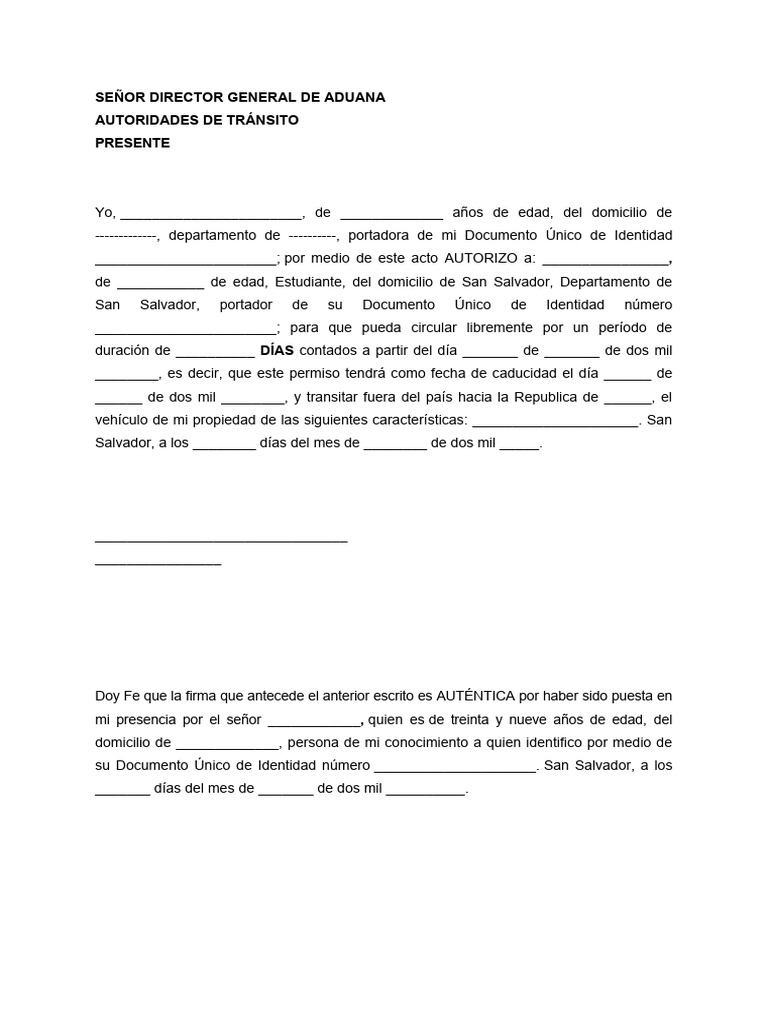 Modelo de Salida de Vehiculo | PDF