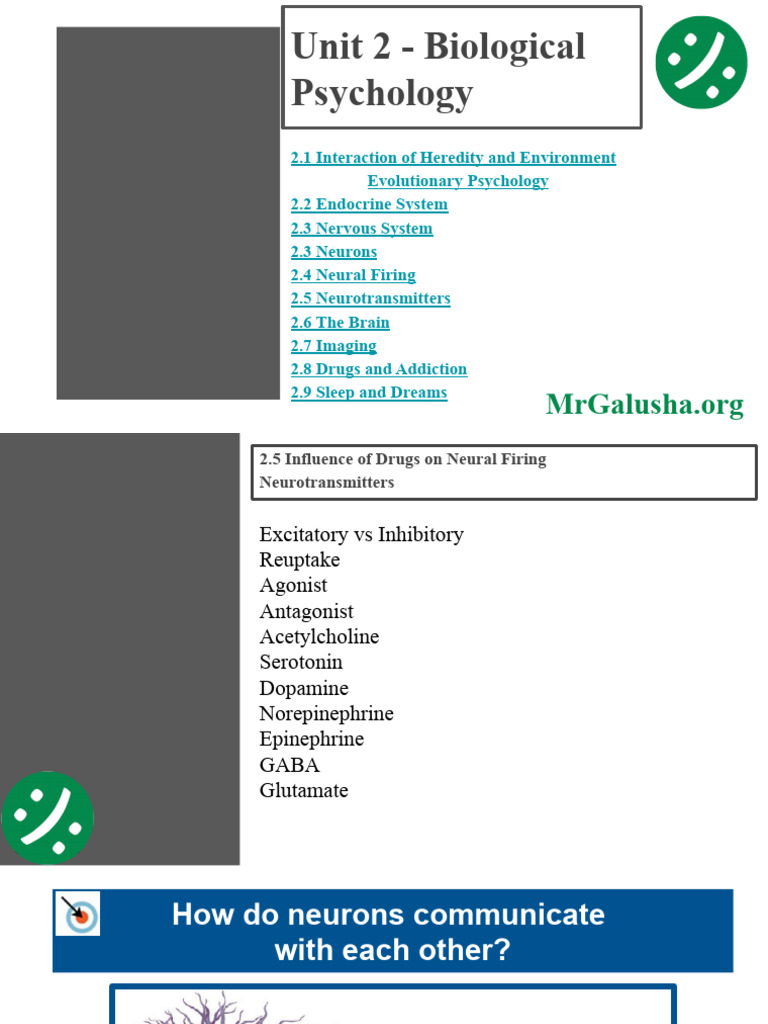 Unit 2 - Biological Psychology - The Brain - W9 | PDF