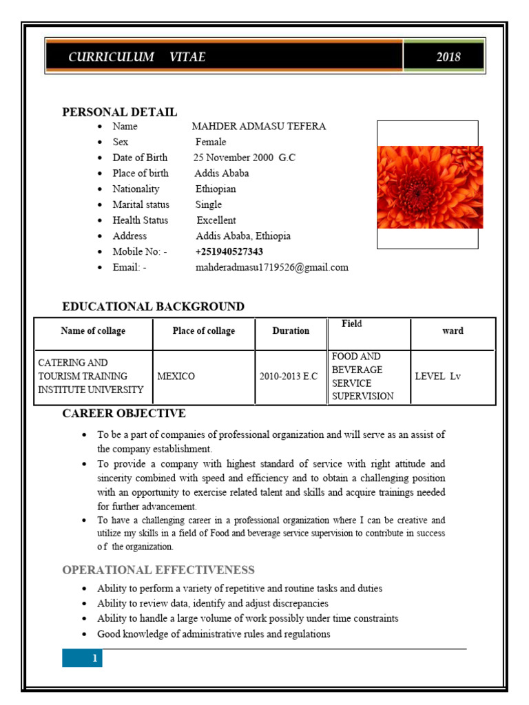 Mahi CV | PDF | Data | Microsoft Excel
