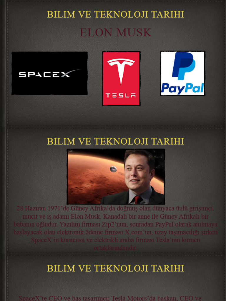 Elon Musk | PDF