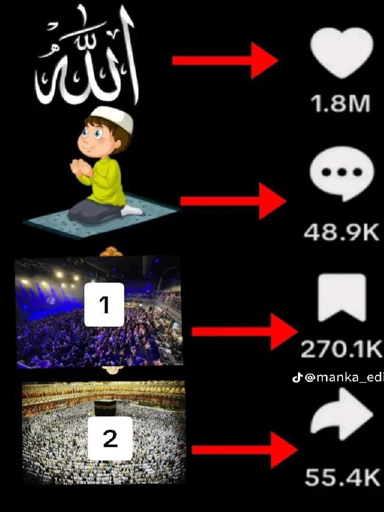 Downloadfile Bin | PDF