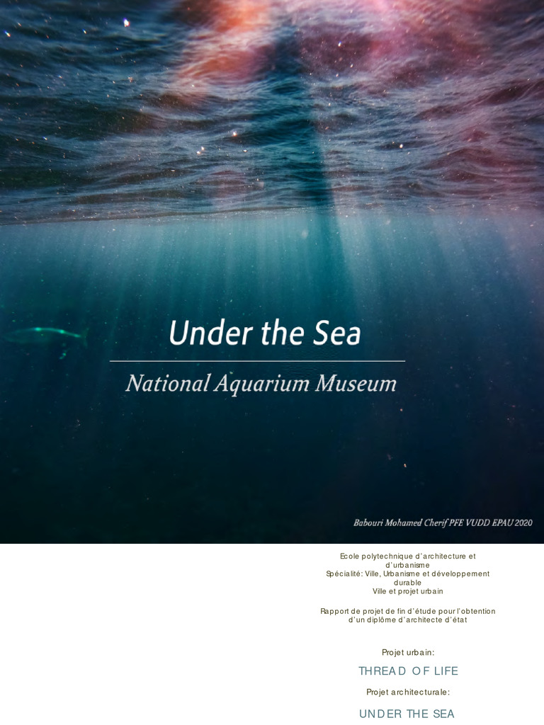 Memoire PFE Under The Sea VUDD EPAU 2020 | PDF | Alger | Paysage