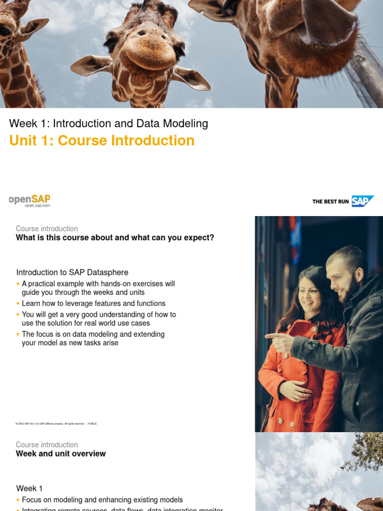 SAP Datasphere | PDF