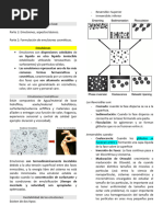 Emulsiones: Fases Oleosa y Acuosa | PDF | Emulsión | Fase (materia)