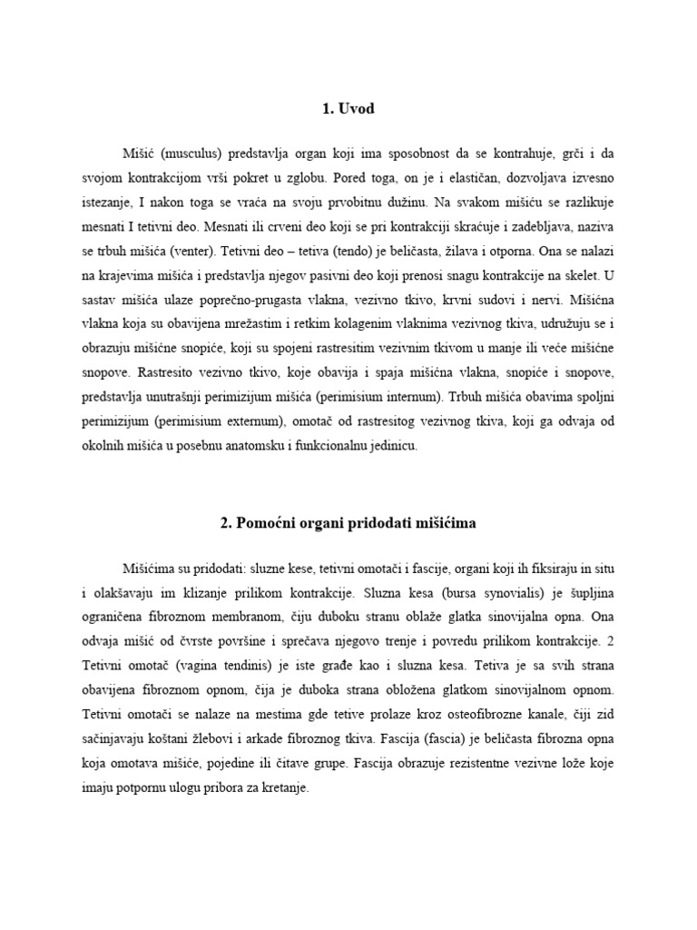 Misici Buta | PDF