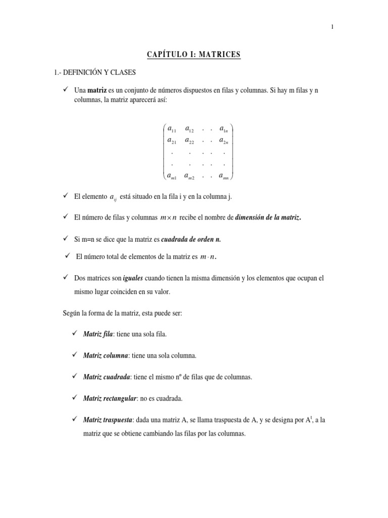 Teoría Matrices y Determinantes | PDF | Matriz (Matemáticas) | Determinante