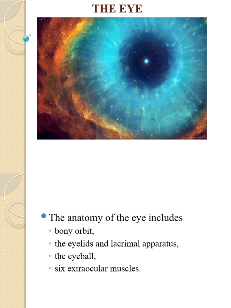 Eye | PDF