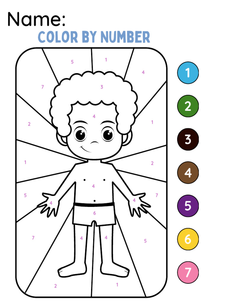 Body Parts Color by Number Worksheet | PDF