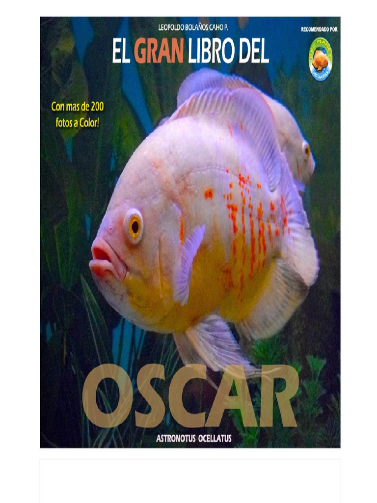 Oscar | PDF