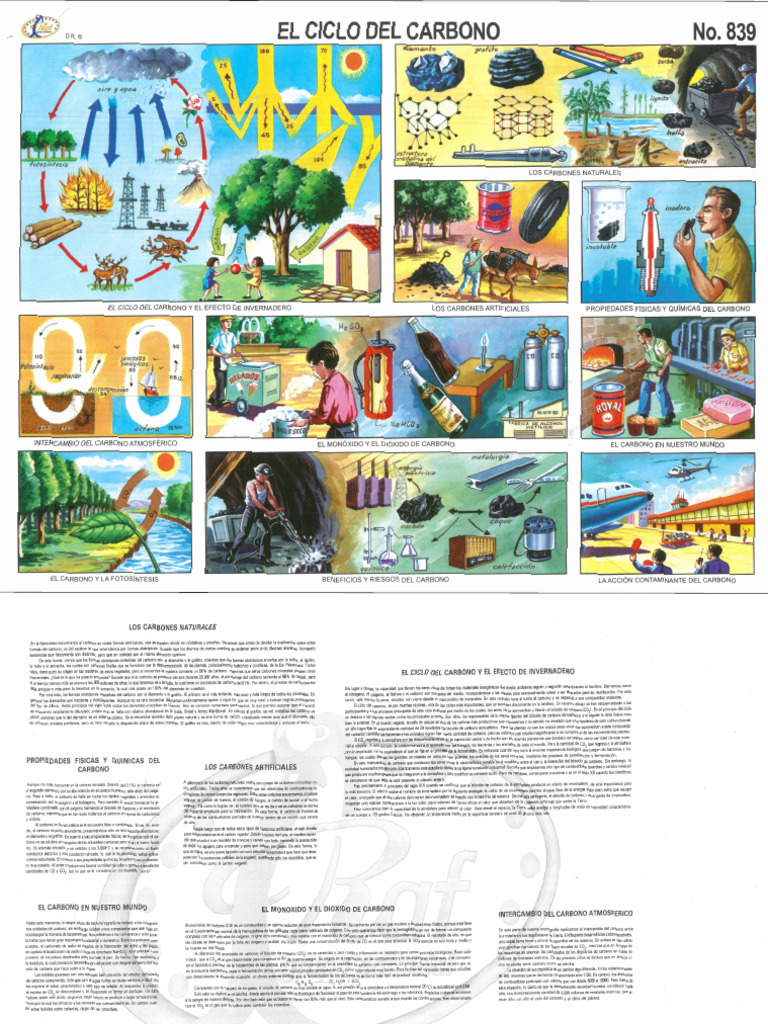 ciclo del carbono | PDF