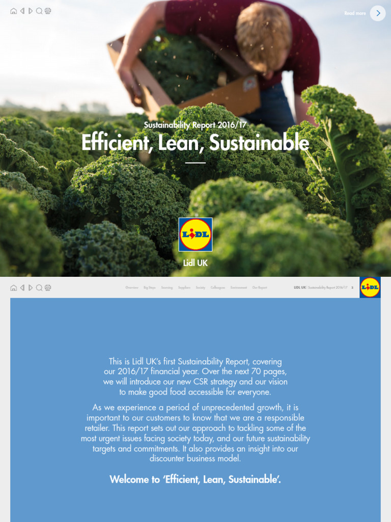 Lidl SR Report 2017 | PDF | Retail | Supply Chain