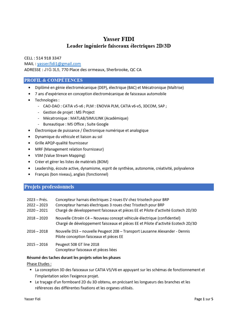 CV Yasser FIDI-2 | PDF