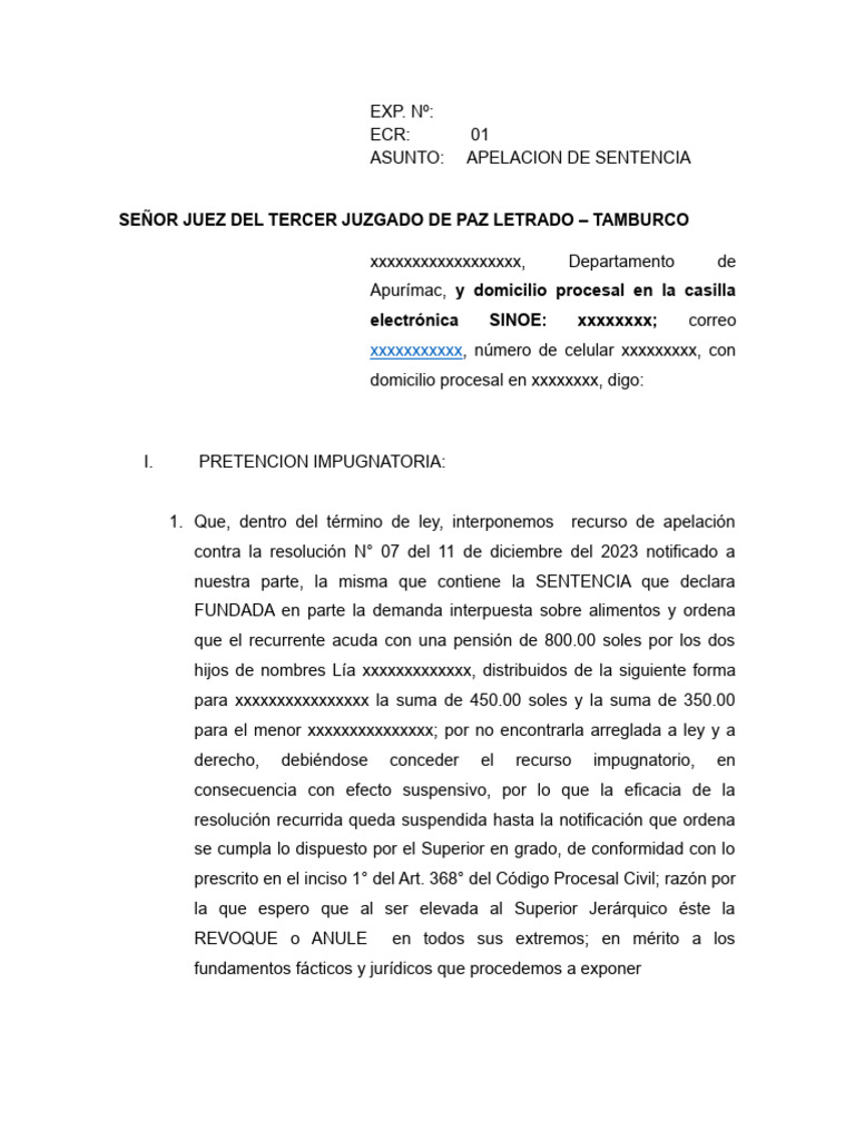 Apelacion de Sentencia | PDF | Debido al proceso | Sentencia (ley)