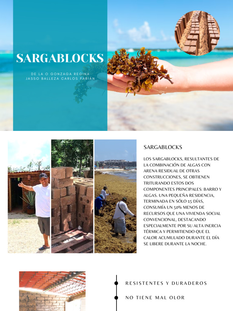 SARGABLOCKS | PDF | Hogar, jardinería y bricolaje | Tecnología