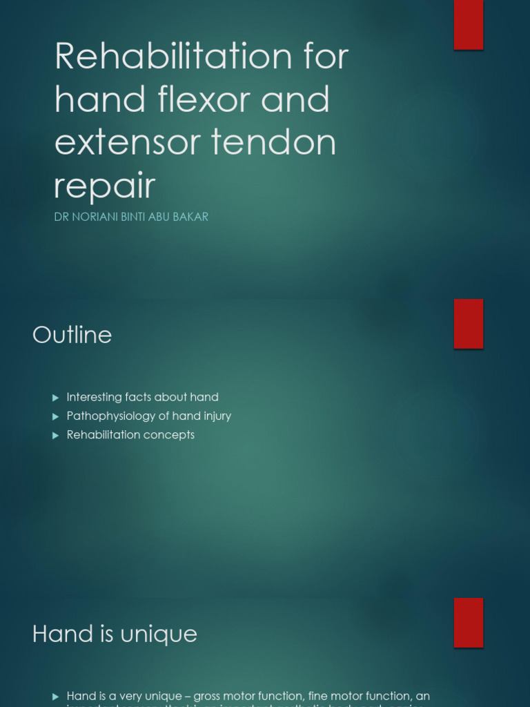 Rehabilitation For Hand Flexor and Extensor Tendon Repair | PDF