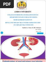 UTI Pathophysiology | PDF | Urinary Tract Infection | Kidney