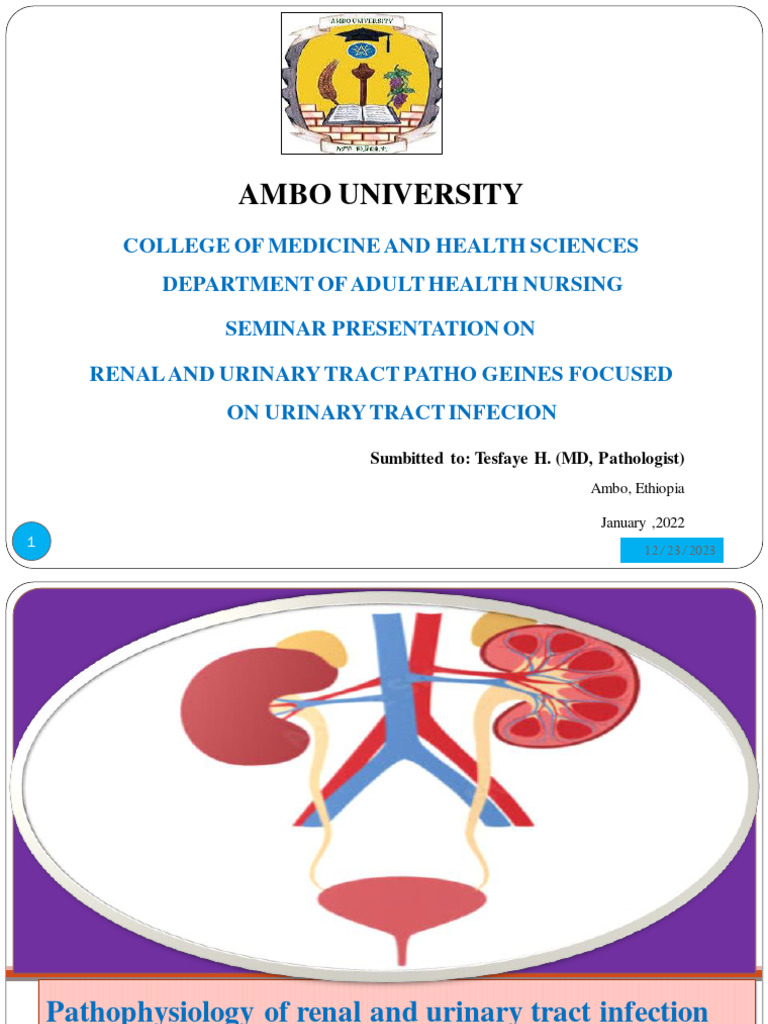 Patho Phsiology of UTI-2 | PDF | Urinary Tract Infection | Urinary System