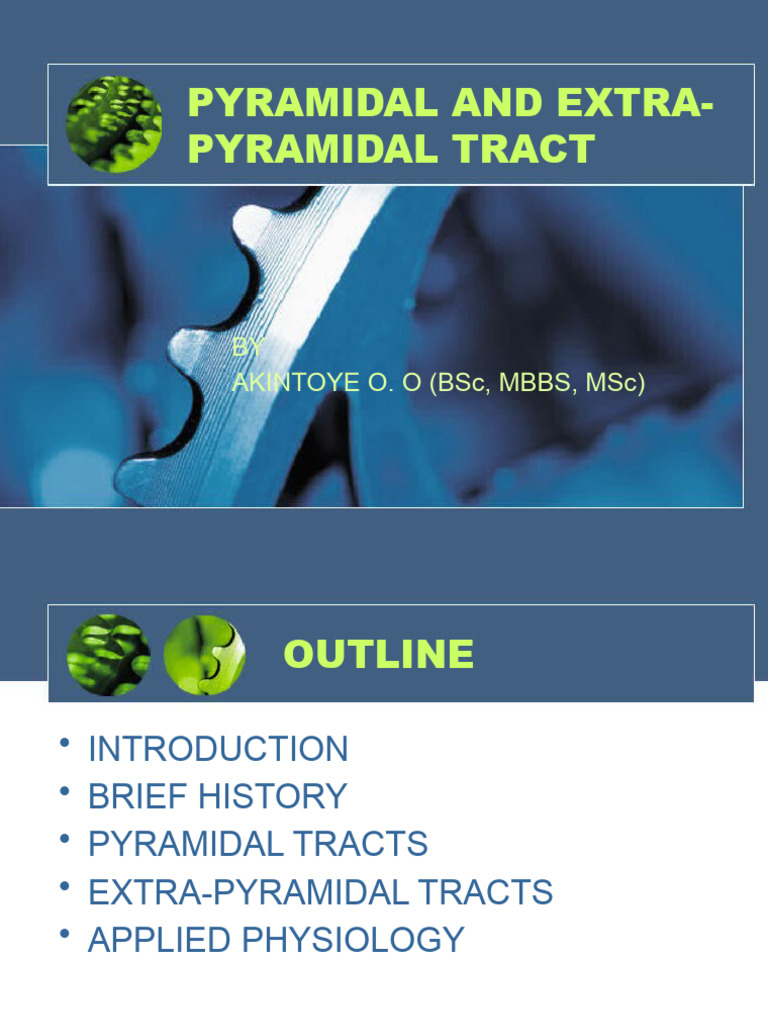 Pyramidal vs Extrapyramidal Tracts | PDF | Neuroscience | Neuroanatomy