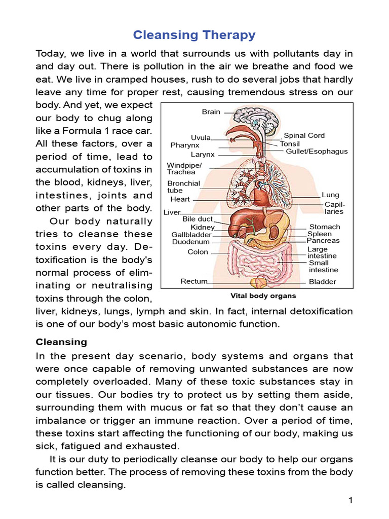 Intro Cleansing Therapy | PDF | Human Body | Pollution