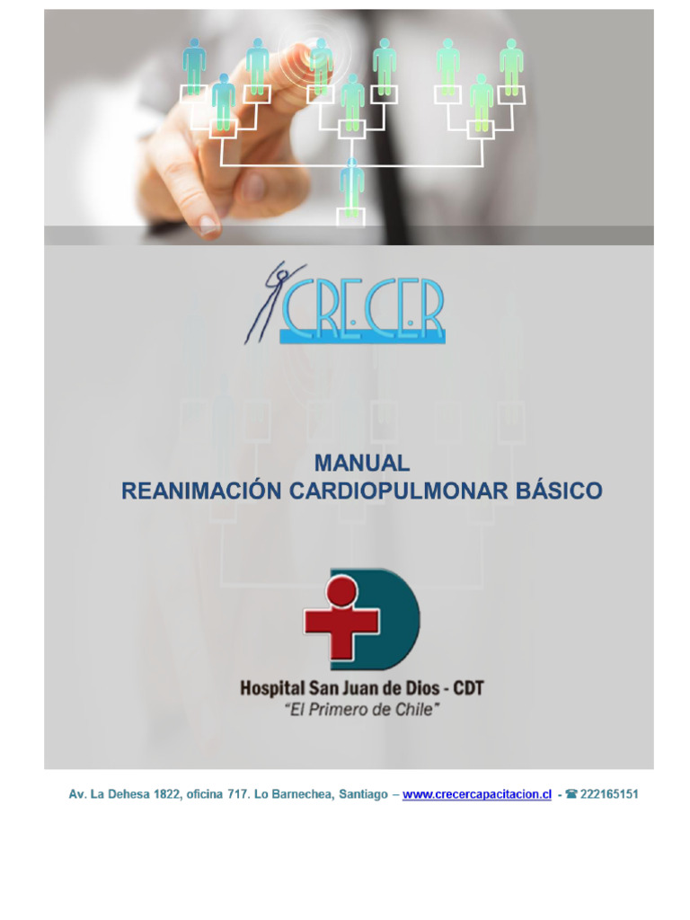Manual RCP Basico v1 | PDF