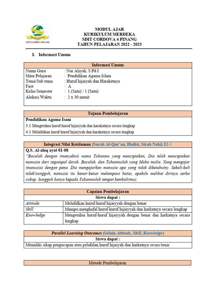 RPP PAI Level 1 | PDF