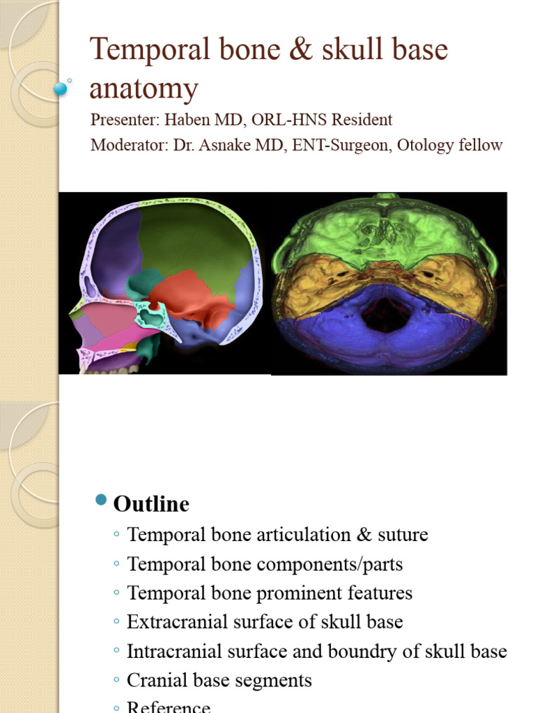 1.temporal Bone & Skull Base Anatomy Seminar 1 | PDF | Skull | Skeletal ...