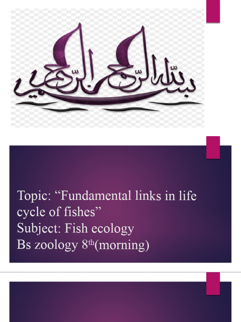 Fundamental Links in Life Cycle of Fishes | PDF