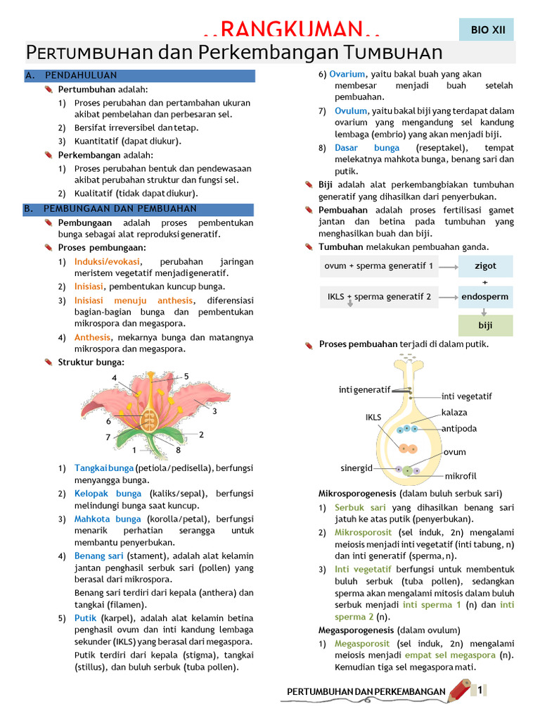 Rangkuman Pertumbuhan Dan Perkembangan Tumbuhan | PDF