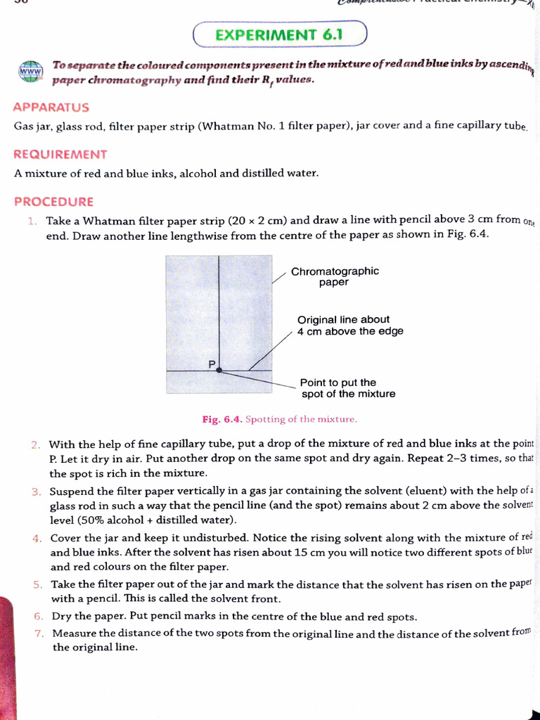 Ink Separation Experiment Precautions | PDF | Chromatography | Solvent